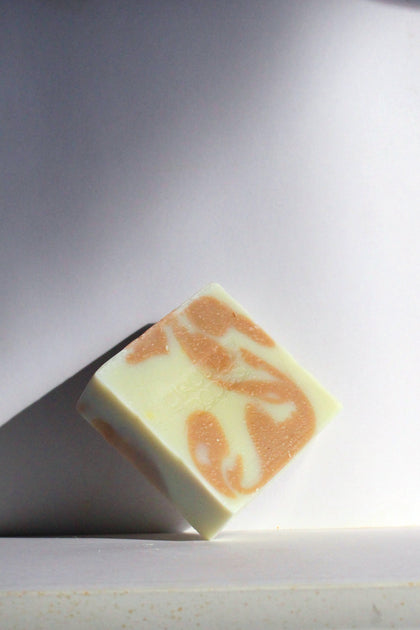 5 things that make Circular Bodies exceptional