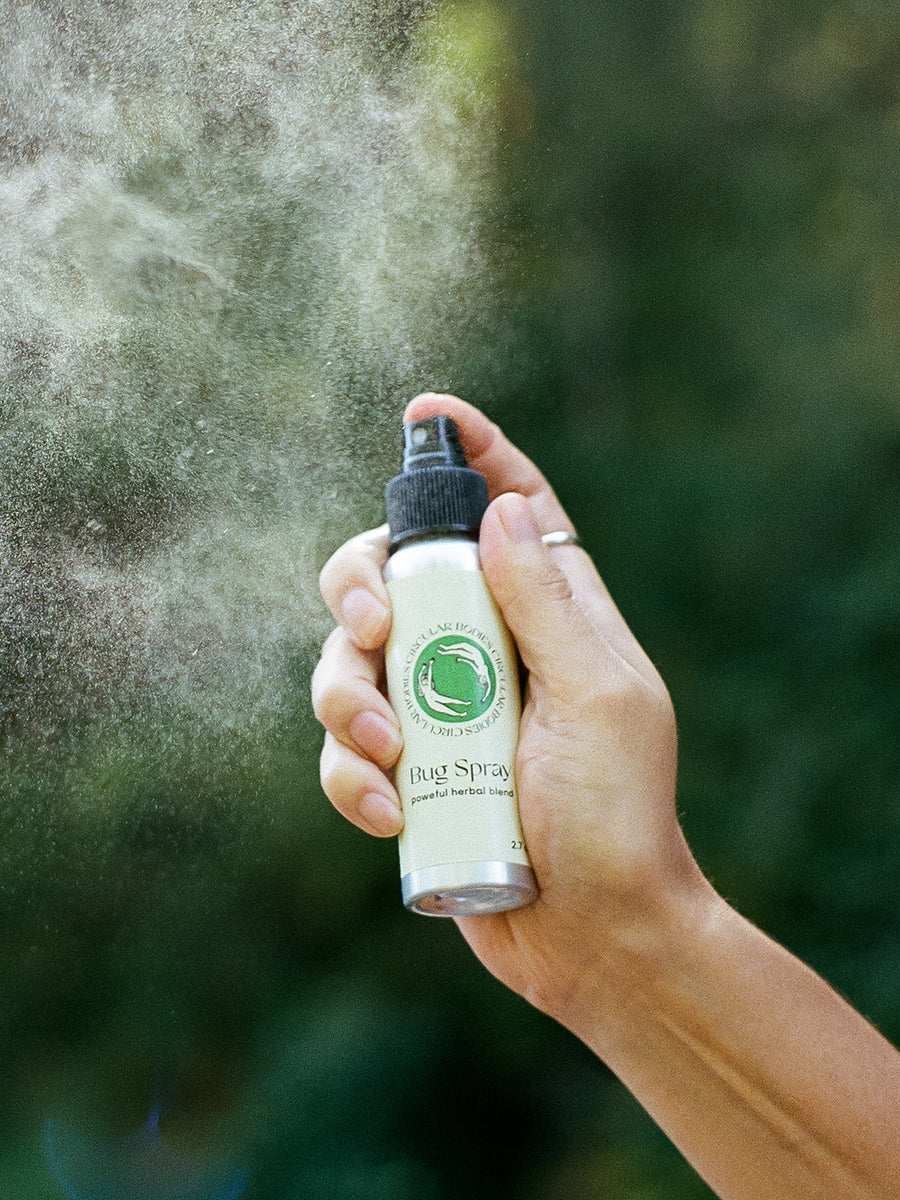 Bug Spray – Circular Bodies